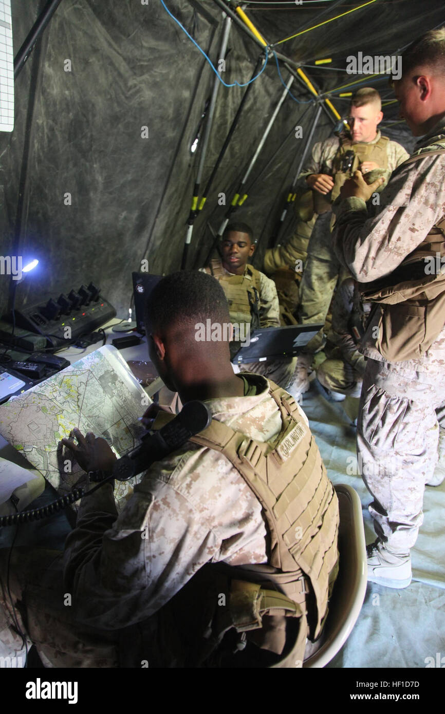 Data specialists with Combat Logistics Battalion 5, Combat Logistics ...