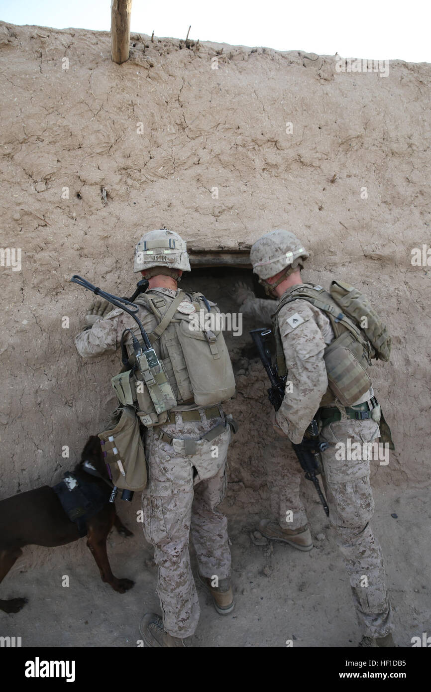 Marines from Fox Company, 2nd Battalion, 2nd Marine Regiment, conduct ...