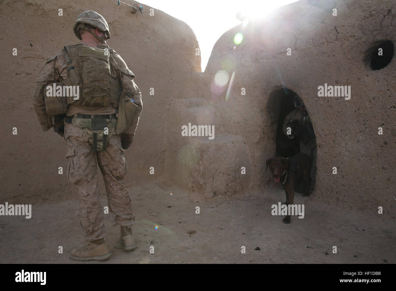 U.S. Marine Corps Cpl. Jarrett Goff, a team leader with Fox Company ...