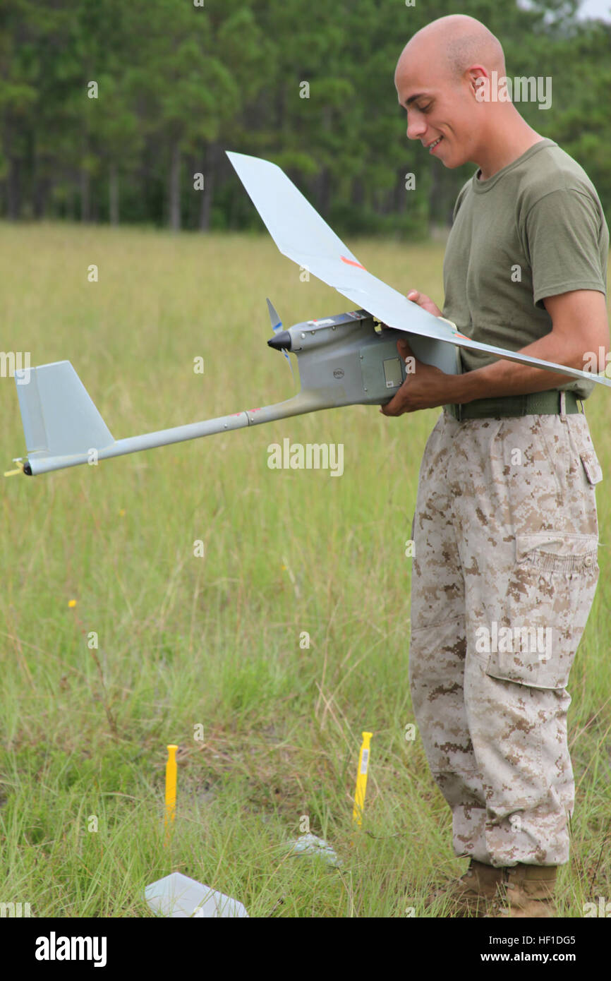 Ravenes hi-res stock photography and images - Alamy