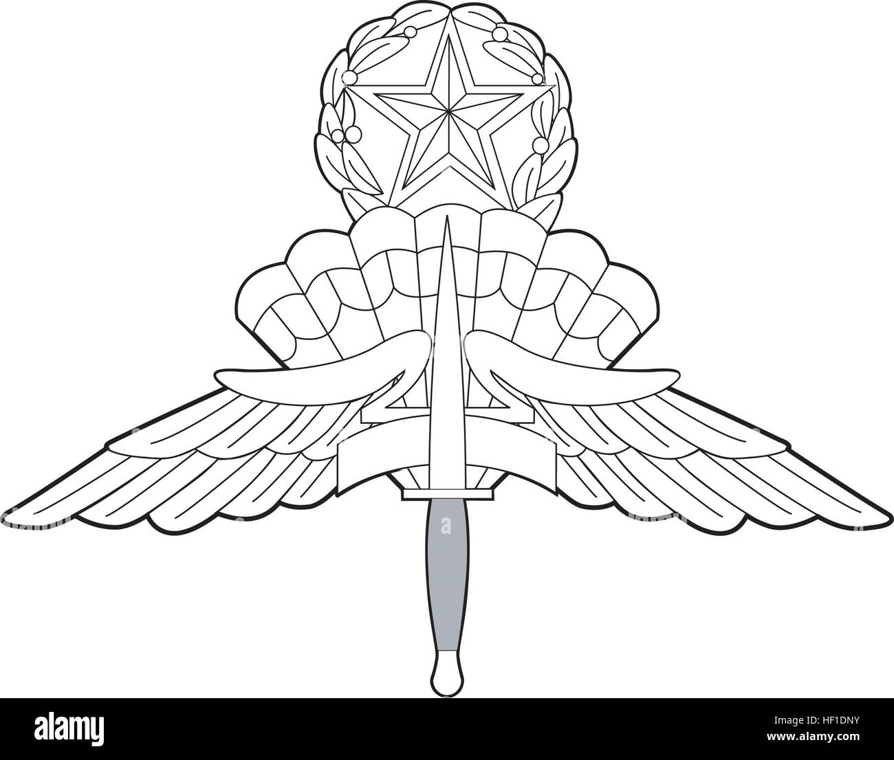 US Military Master Free Fall Parachutist Badge Stock Photo - Alamy
