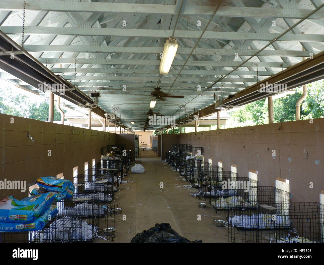 A look inside the make-shift animal shelter in Anderson County, S.C ...
