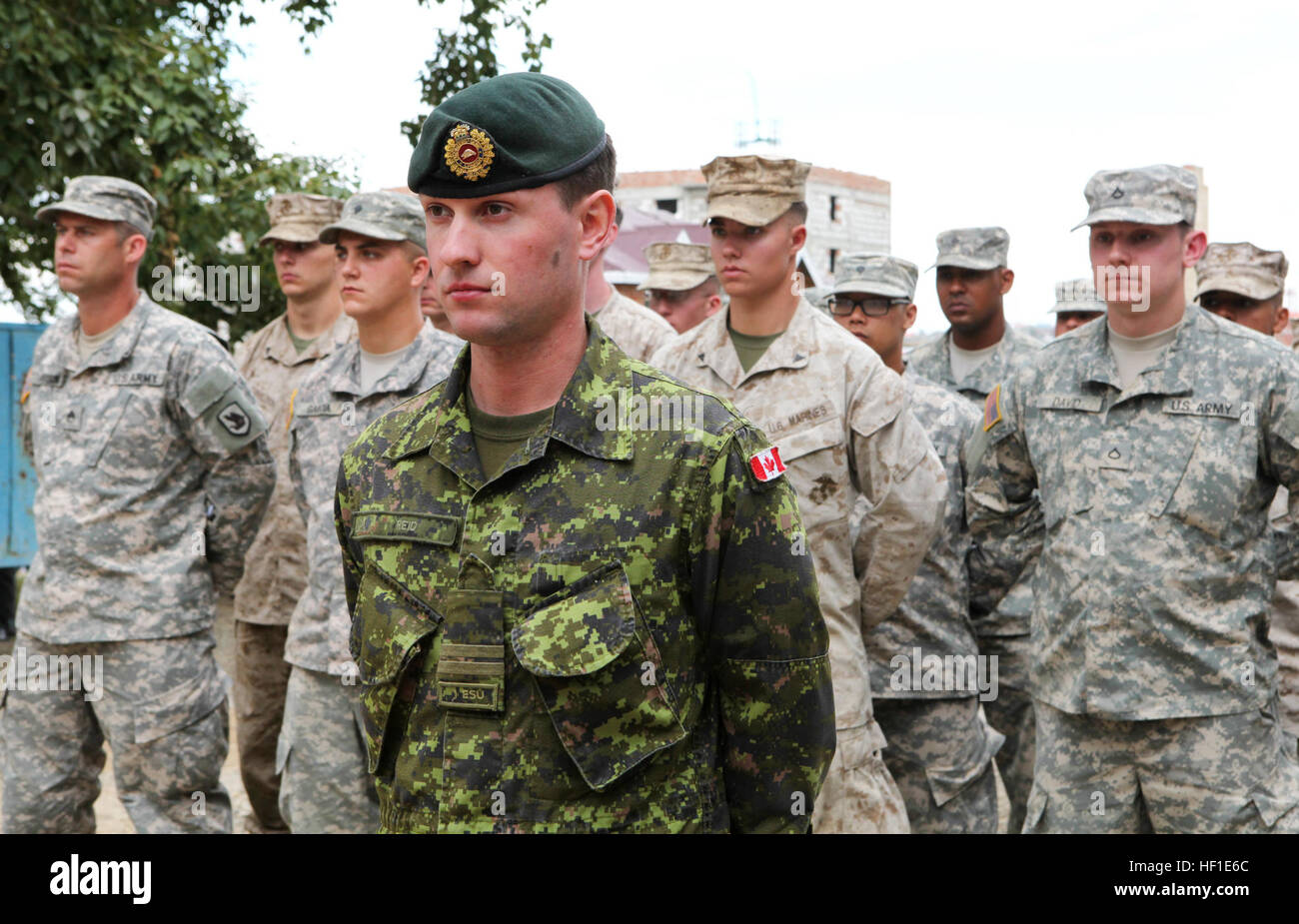 Canadian Combat Engineers