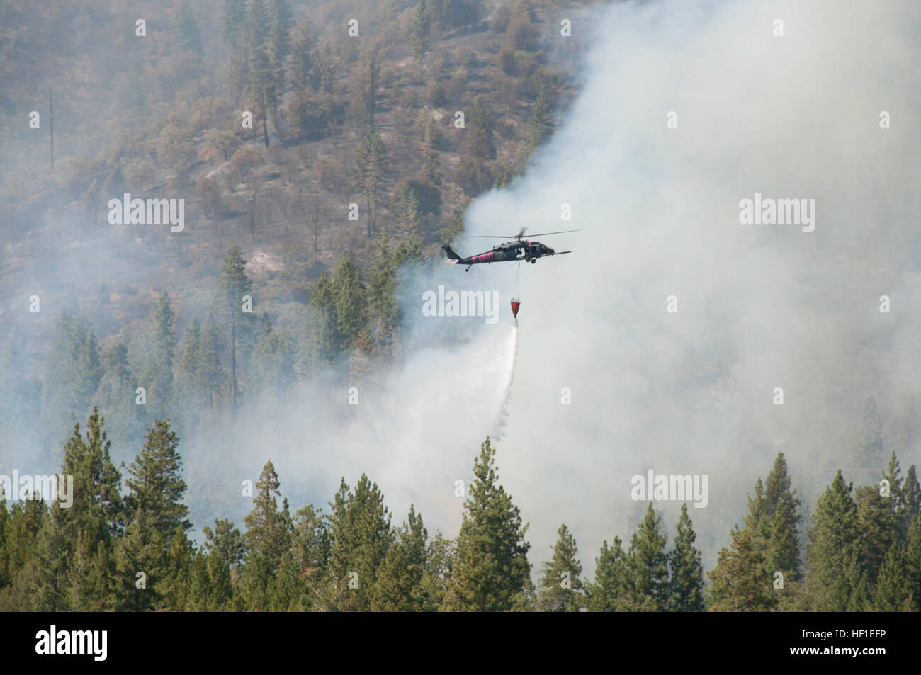 Photographer in yosemite national park hi-res stock photography and ...