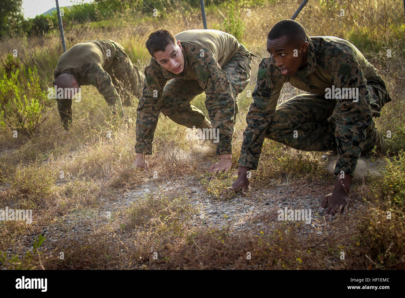 Marines with Africa Partnership Station 13 executed burpees recently ...