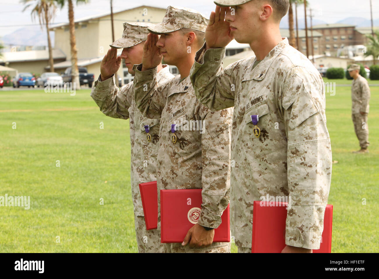 Combat center 2nd battalion 7th marine regiment purple heart war hi-res ...