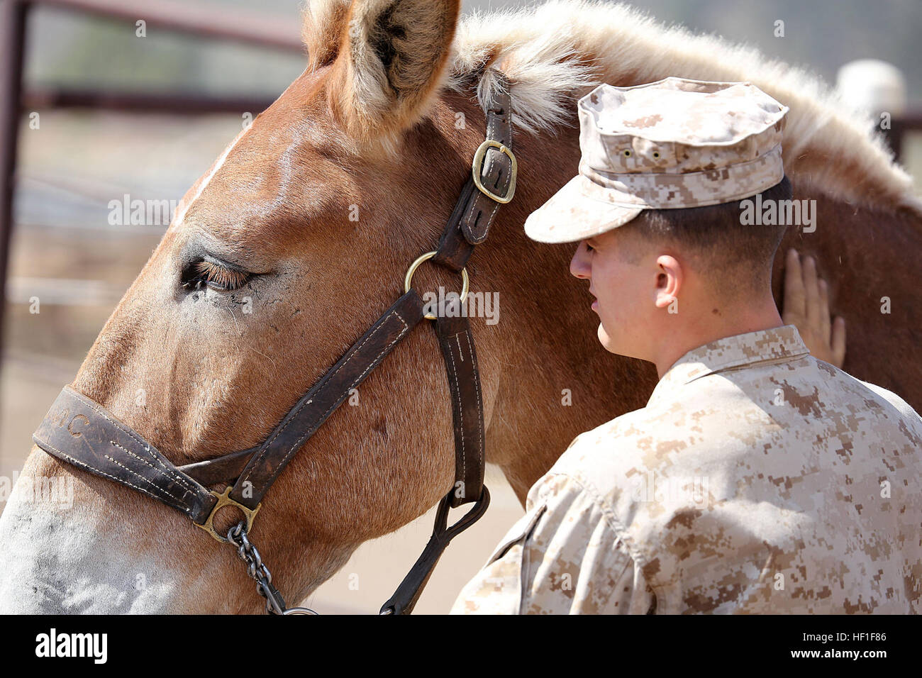 The MWTC near Bridgeport, Calif., has begun teaching an advanced ...