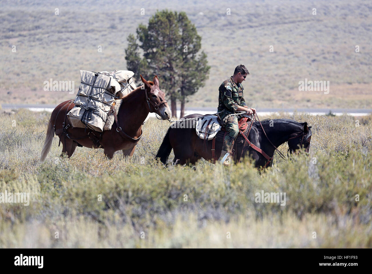 The MWTC near Bridgeport, Calif., has begun teaching an advanced ...