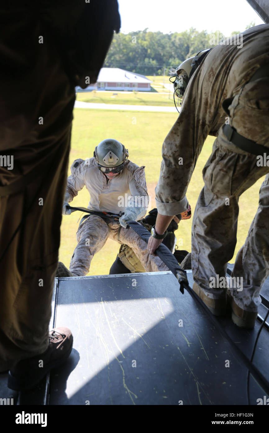 A Marine Multipurpose Canine (MPC) handler with Marine Corps Special ...