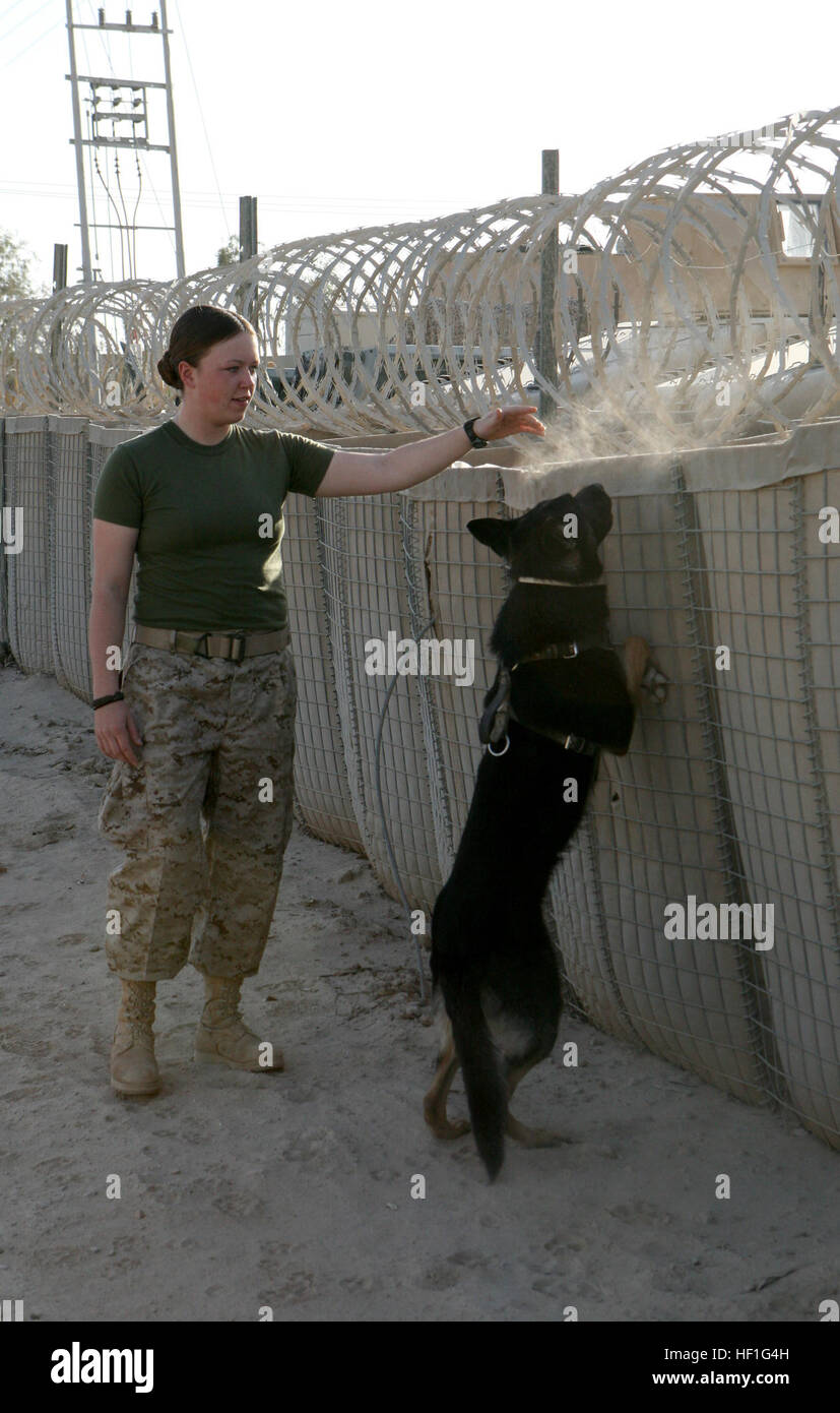Fallujah usmc hi-res stock photography and images - Alamy