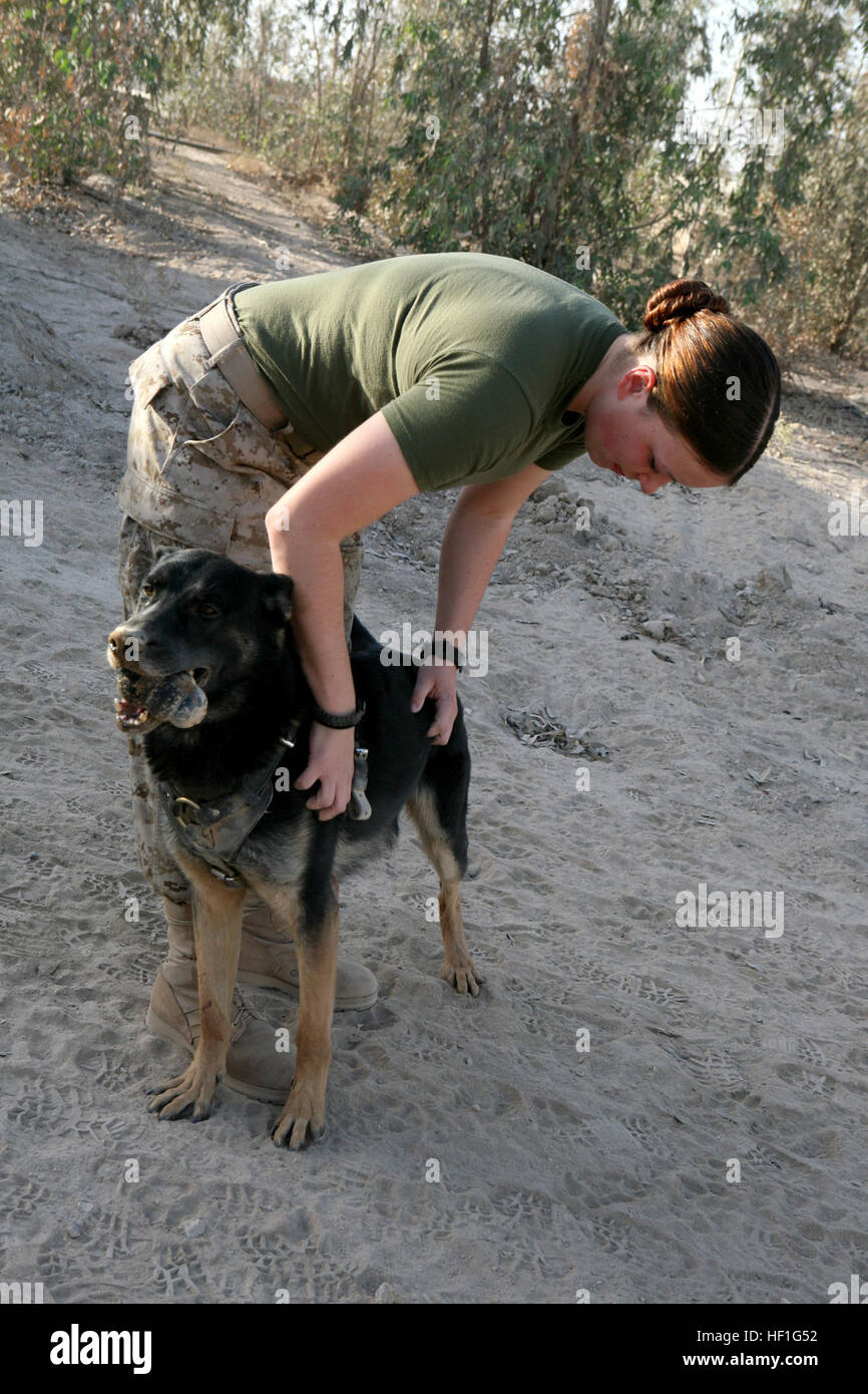 Fallujah usmc hi-res stock photography and images - Alamy