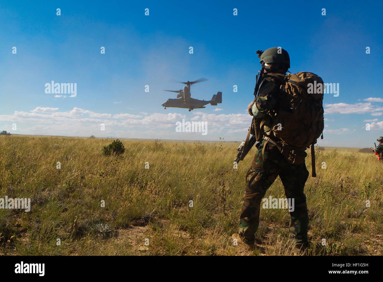 A U.S. Marine with Marine Special Operations Battalion (MSOB) waits for ...