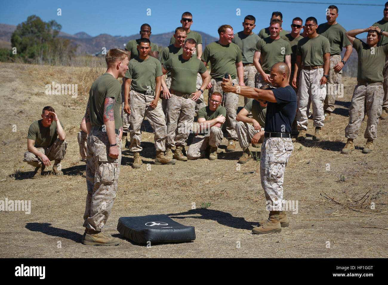 Nonlethal weapons instructor hi-res stock photography and images - Alamy