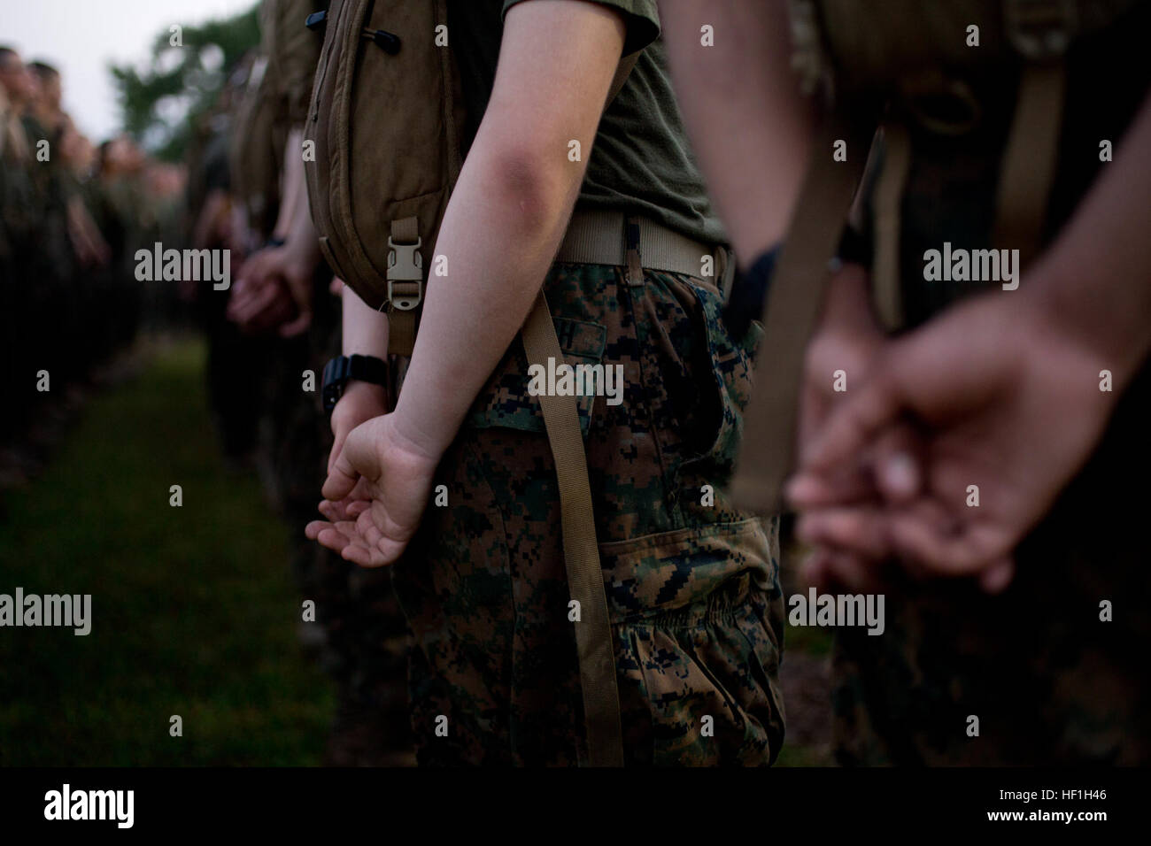 Integrated Itb Training Stock Photos & Integrated Itb Training Stock ...