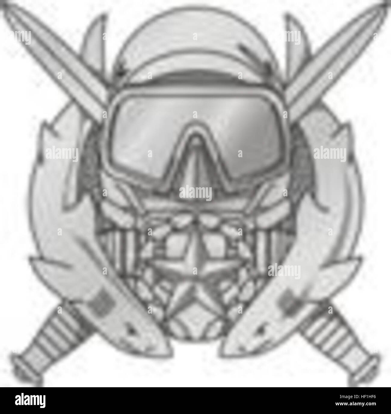 The Special Operations Division Support Badge identifies personnel who ...
