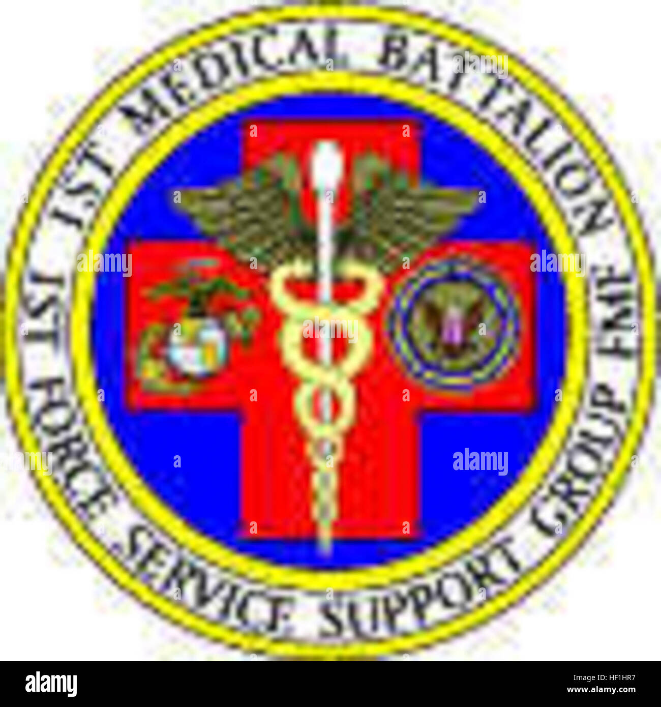 1st medical battalion logo Stock Photo - Alamy