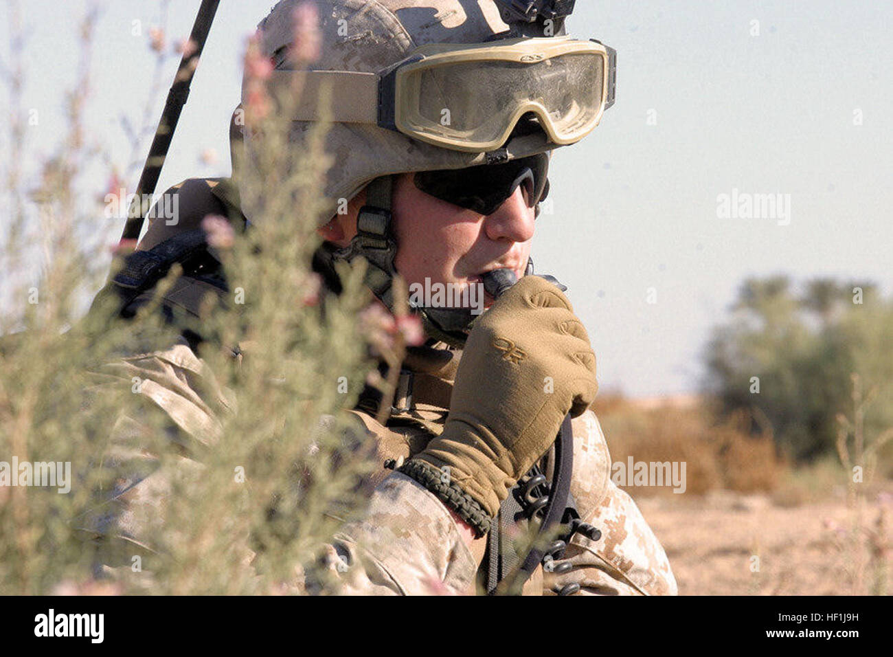 Hydration pack USMC Stock Photo - Alamy