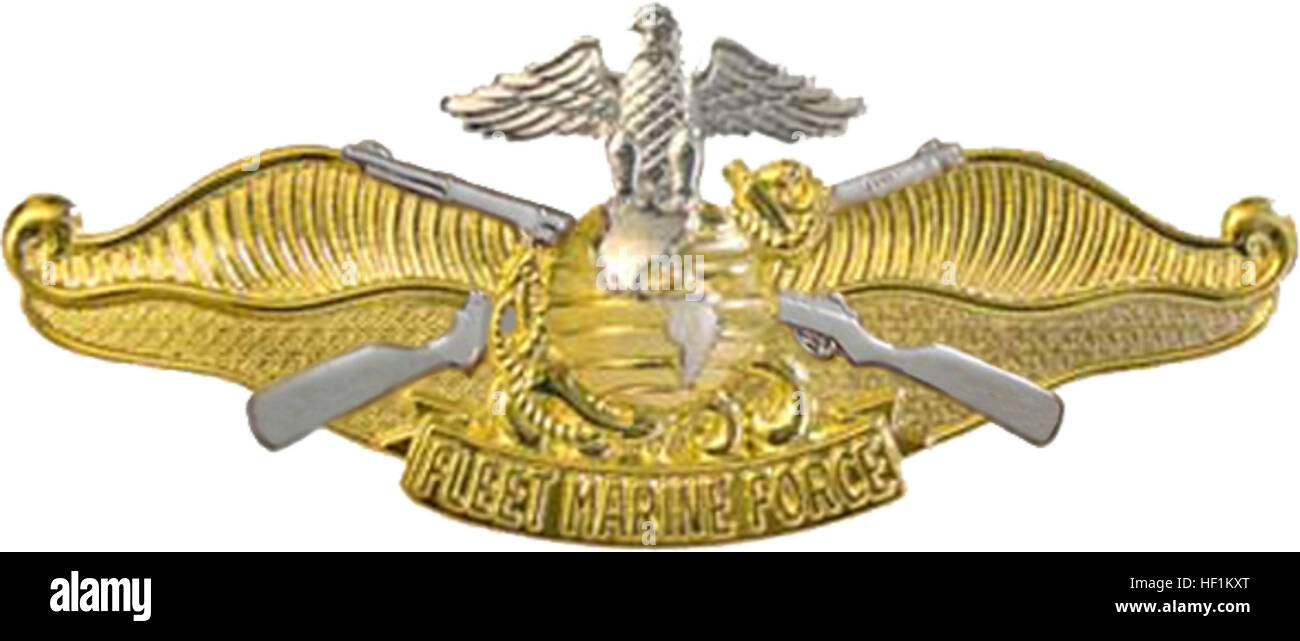 USN - Fleet Marine Force Officer Insignia Stock Photo - Alamy