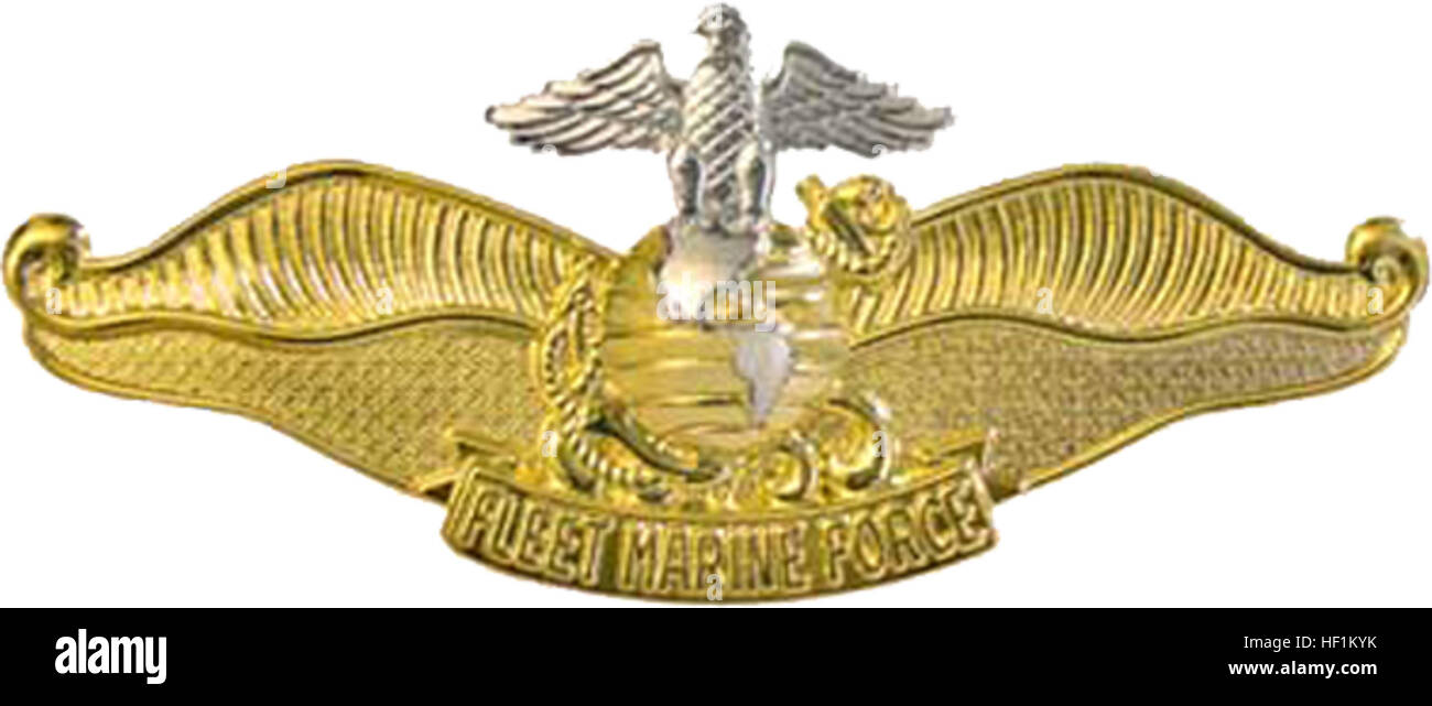 USN - Fleet Marine Force Chaplain Insignia Stock Photo - Alamy