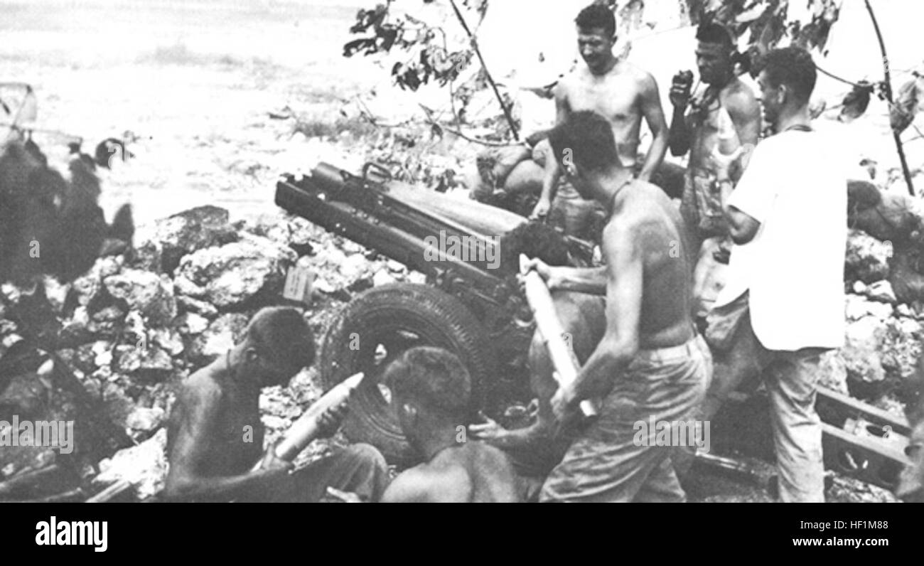 A 75mm Howitzer On Peleliu Island Was Deployed By U S Forces During