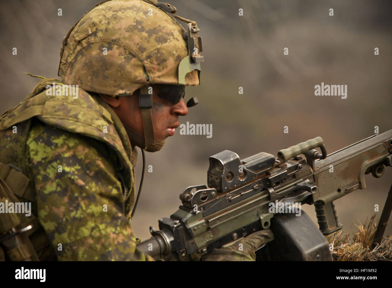 Ppcli High Resolution Stock Photography and Images - Alamy