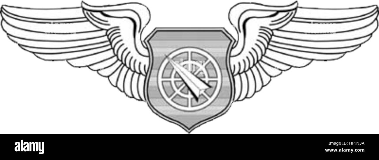 USAF - Air Battle Manager Wings Stock Photo - Alamy