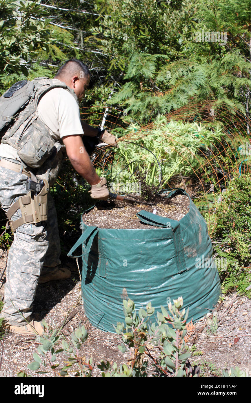 A member of the California National Guard Counterdrug Task Force chops ...
