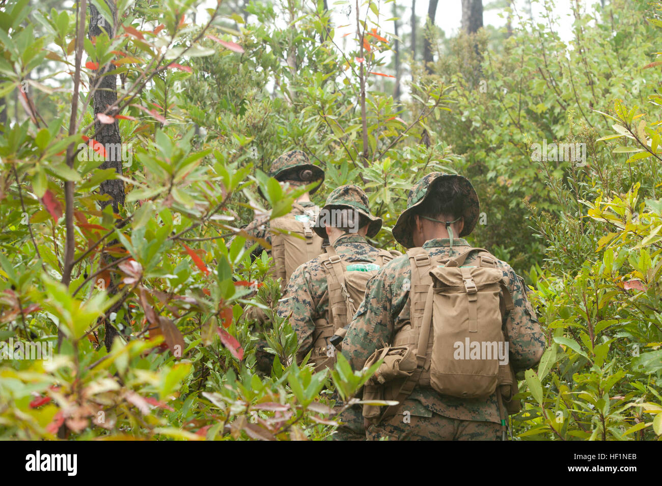 U.S. Marines from Delta Company, Infantry Training Battalion (ITB ...