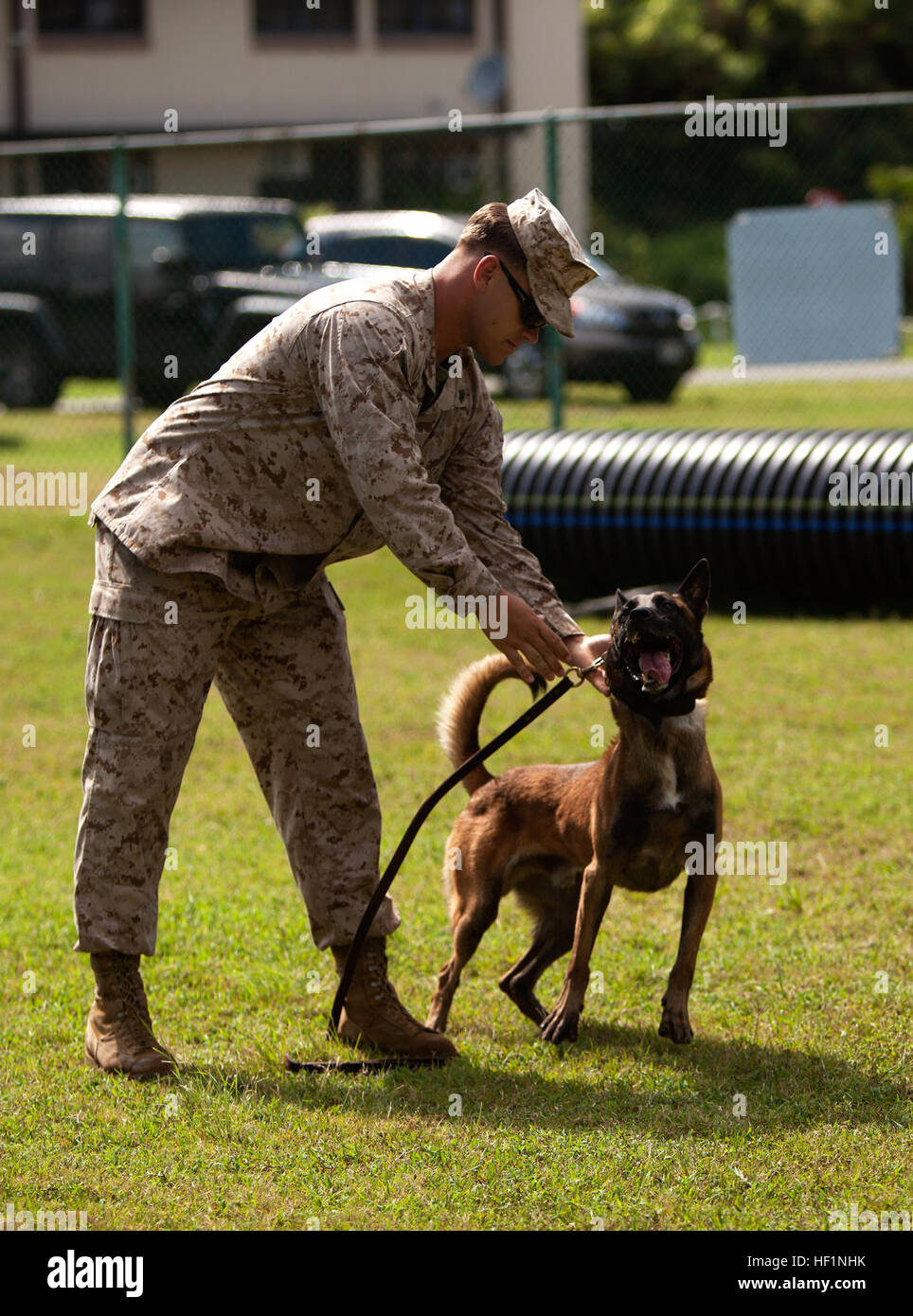 Sgt. Joshua Sutherland, the chief trainer for Marine Corps Base Hawaii ...