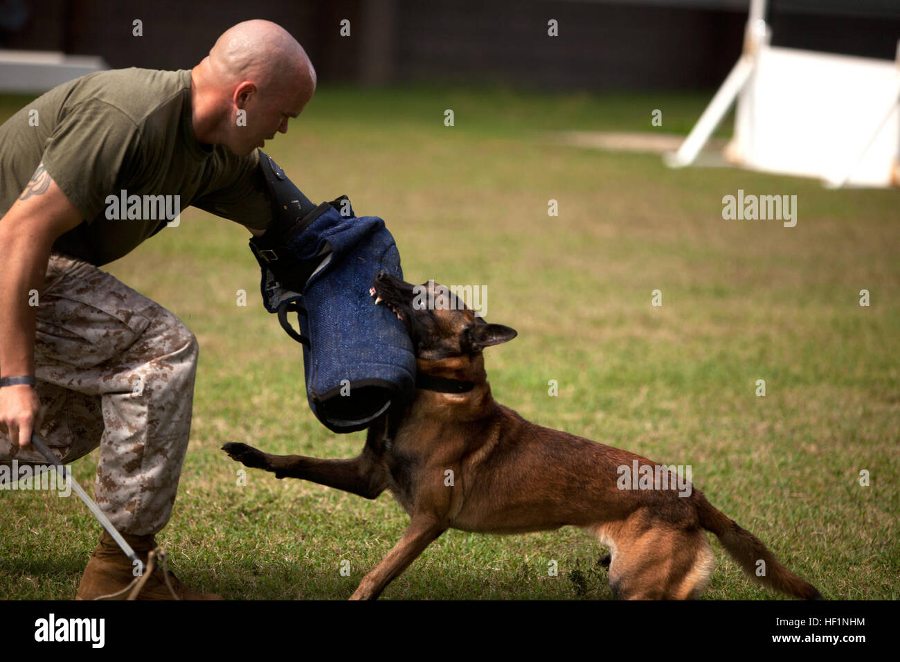 Sgt. Daniel Pierce, a dog handler with Marine Corps Base Hawaii's ...