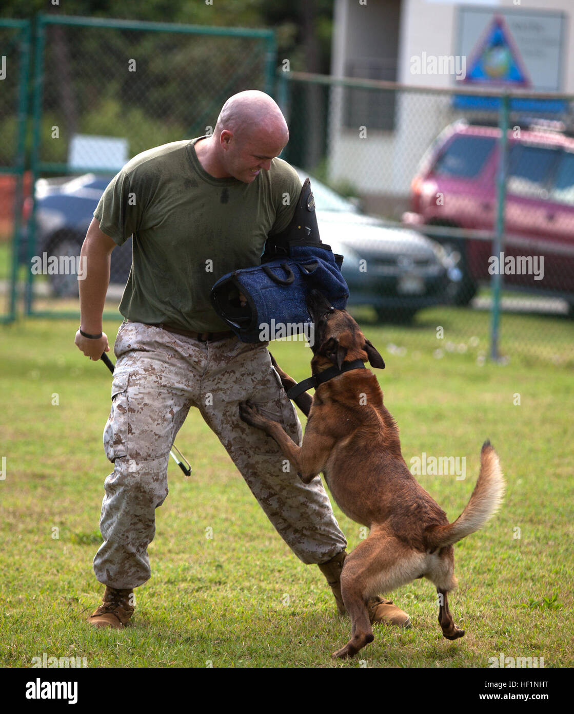 Bond j daniel hi-res stock photography and images - Alamy