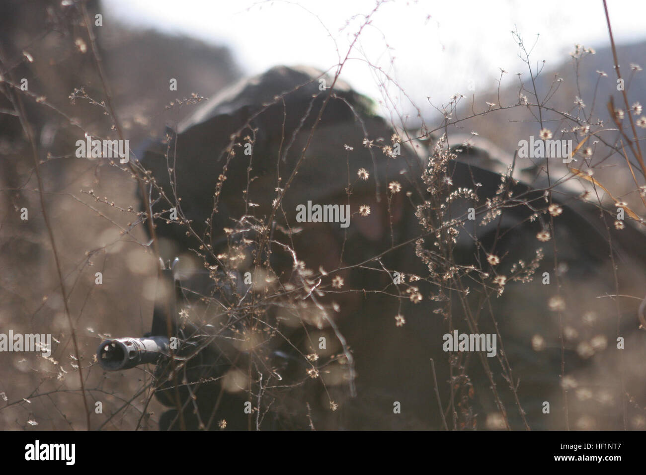 Lance Corporal Henry Lopez, Weapons Company, 3rd Battalion, 7th Marine ...