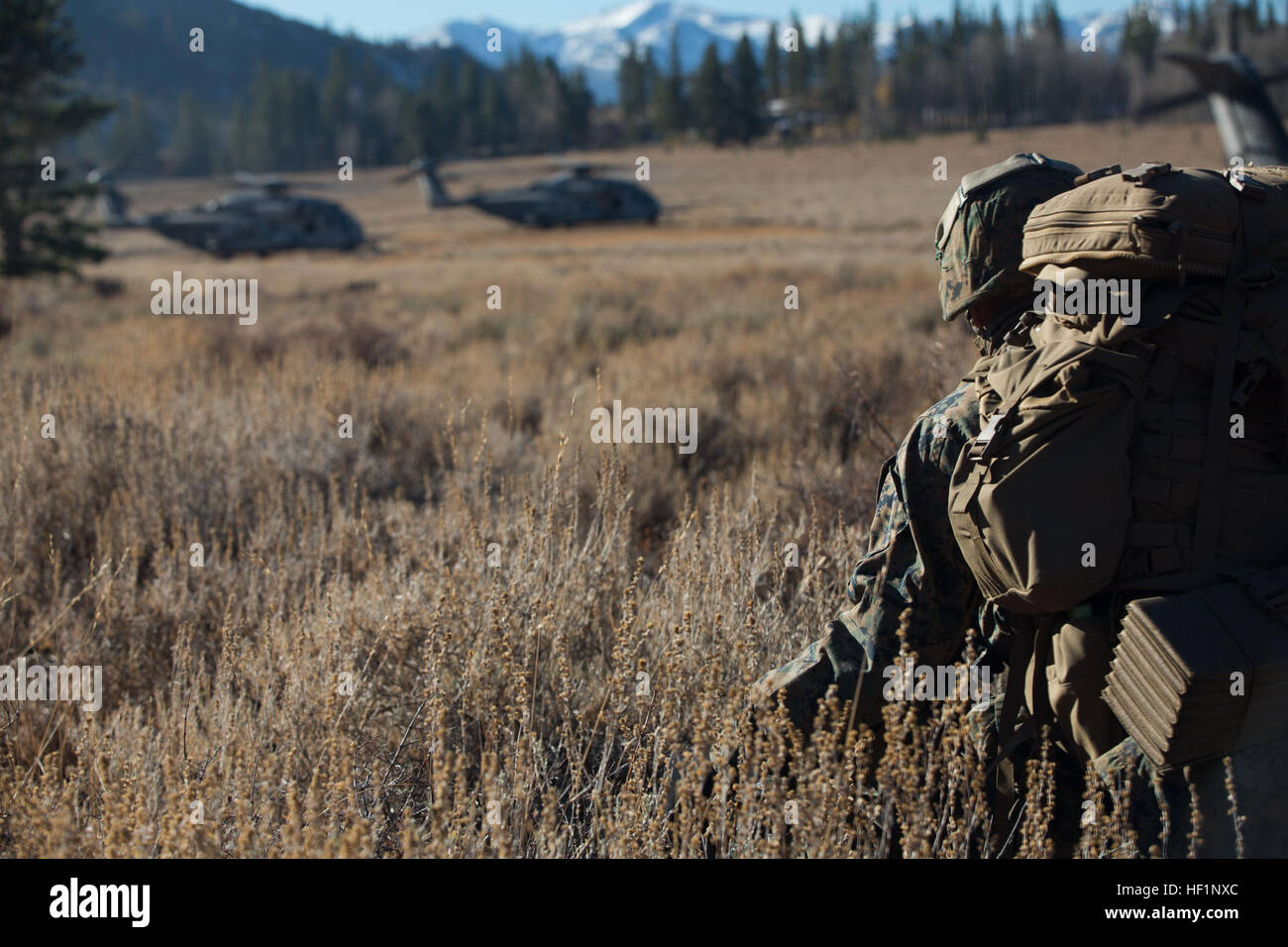 A U.S. Marine Corps CH-53E Super Stallion transport helicopter with ...