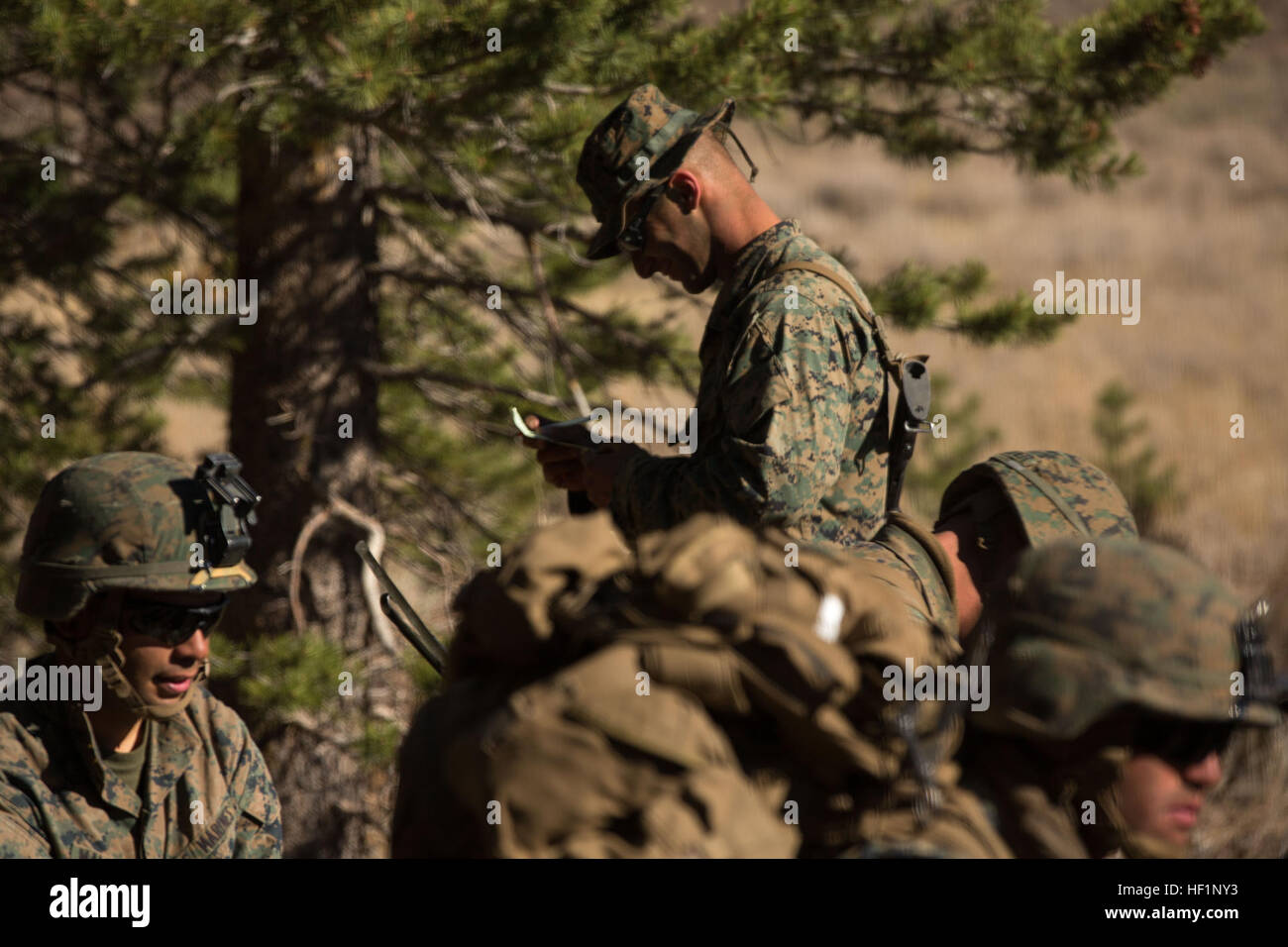 U.S. Marines from 1st Battalion, 5th Marine Regiment (1/5), 1st Marine ...