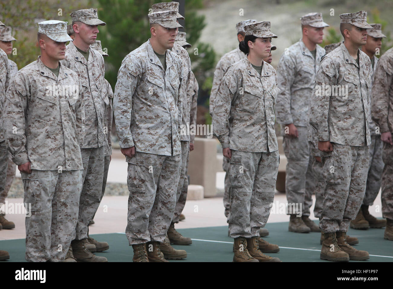 Marines with Headquarters Company, Combat Logistics Regiment 17, 1st ...