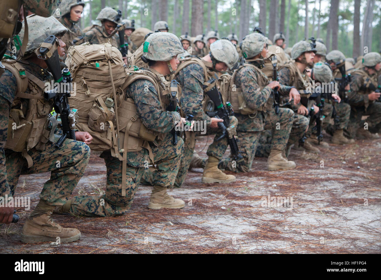 U.S. Marine Corps Private First Class Cristina Fuentes Montenegro of ...