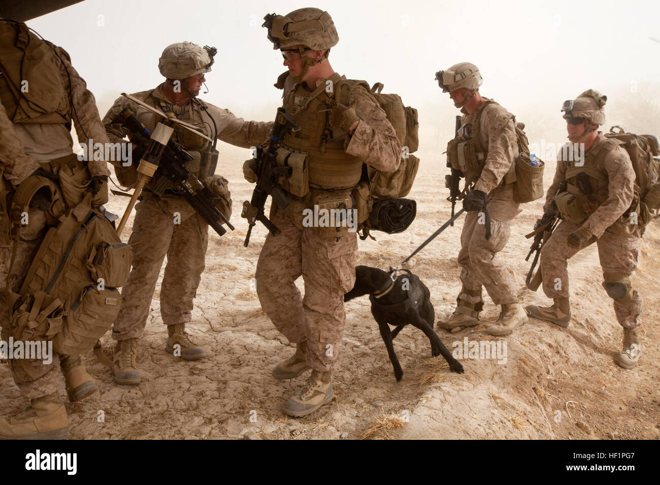 U.S. Marines with Bravo Company, 1st Battalion, 9th Marine Regiment (1/ ...
