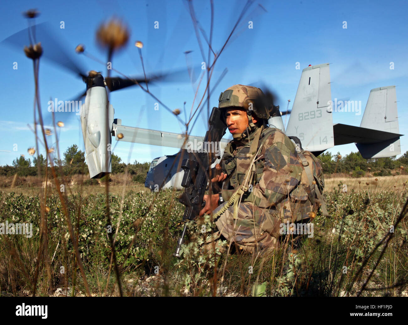 A Legionnaire from the 2nd Foreign Infantry Regiment of France's 6th ...