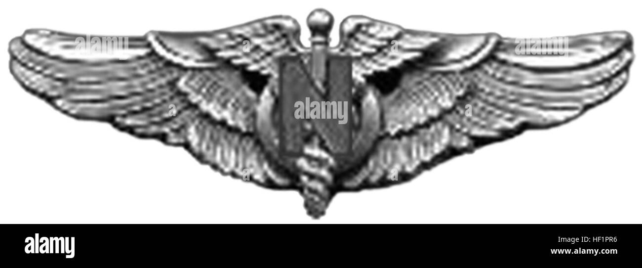 USAAF Flight Nurse Wings Stock Photo - Alamy