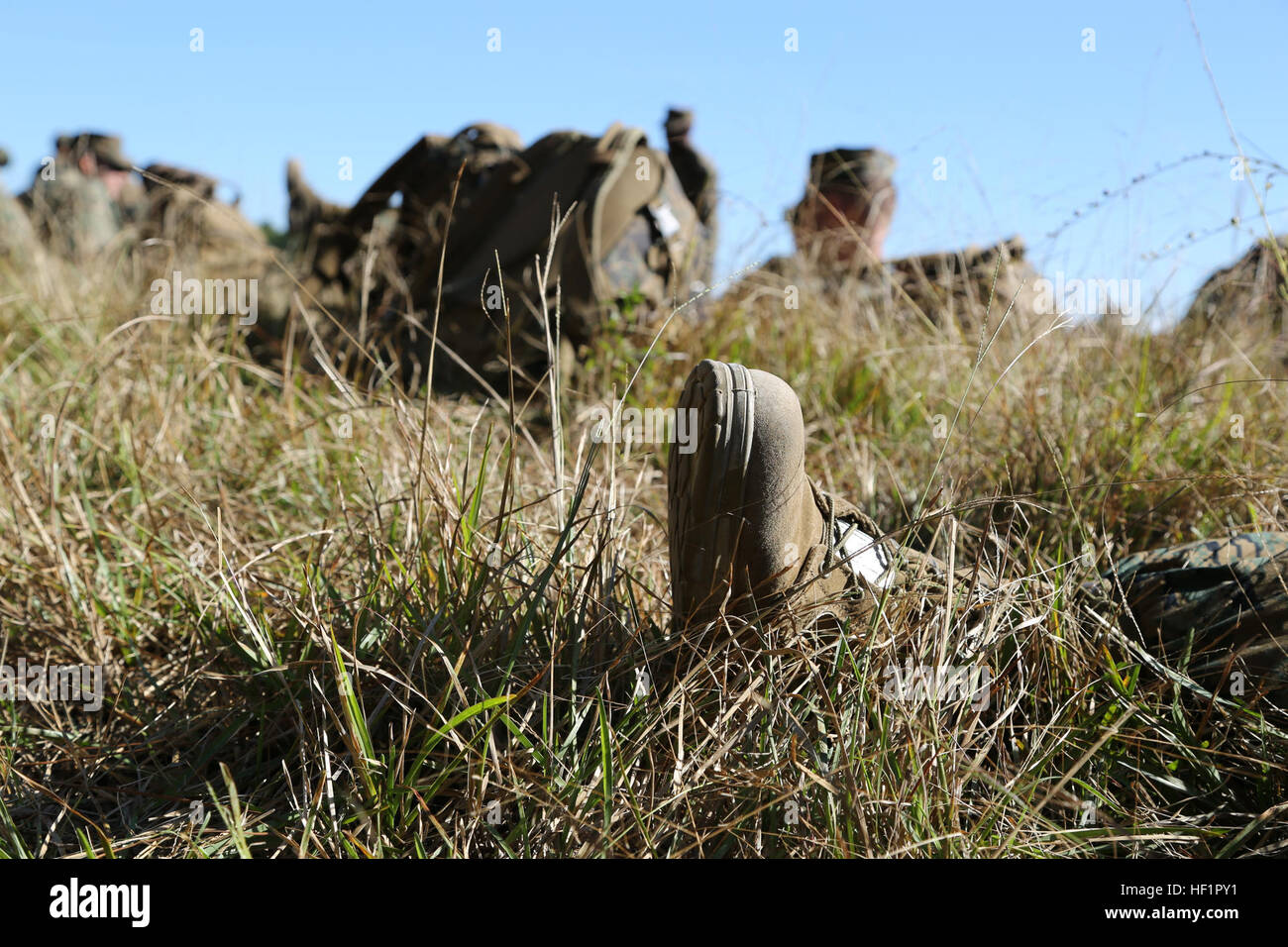 Mals 29 hi-res stock photography and images - Alamy