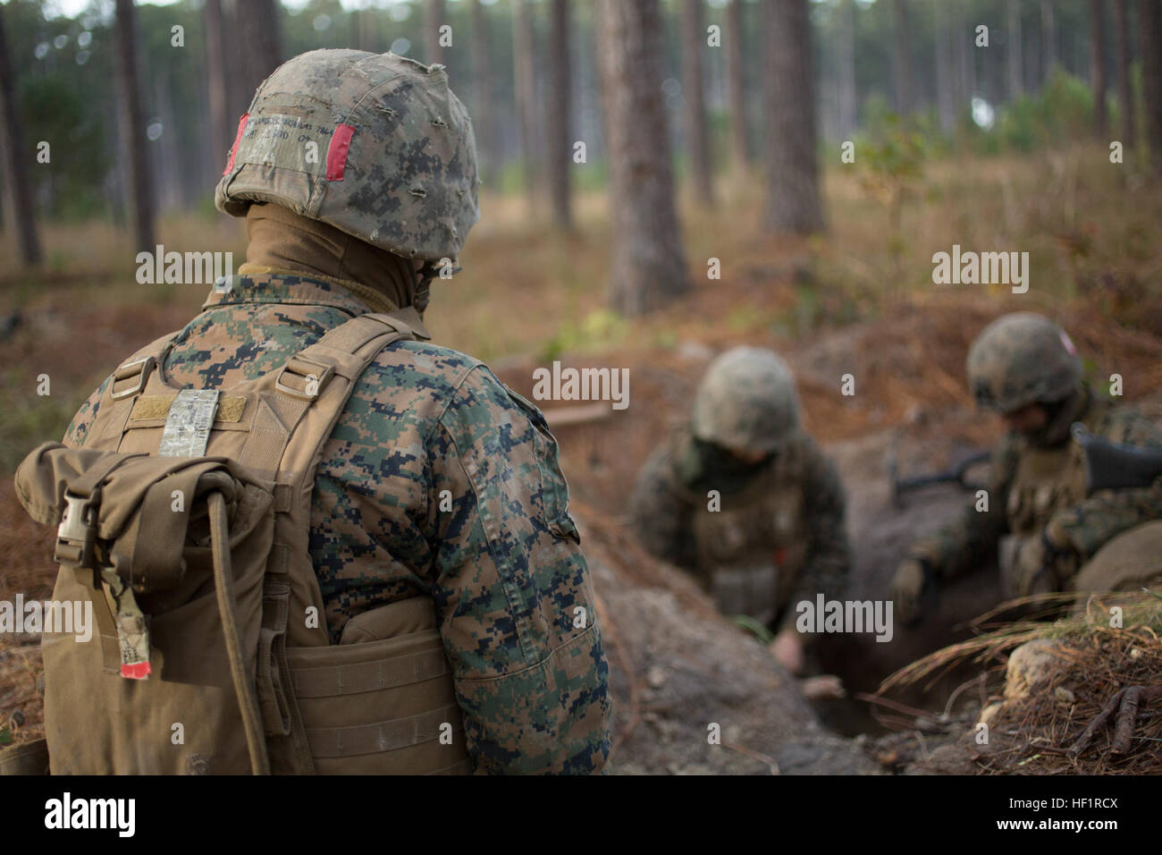 U.S. Marines from Delta Company, Infantry Training Battalion (ITB ...