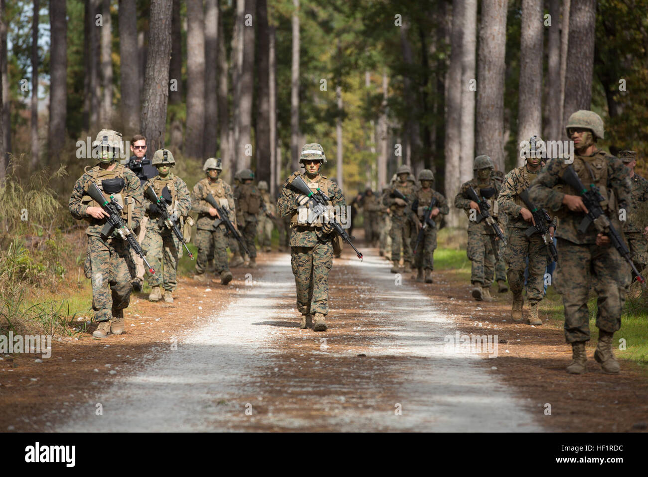 U.S. Marines from Delta Company, Infantry Training Battalion (ITB ...