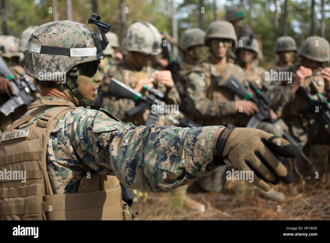 U.S. Marine Sergeant David Rogers from Delta Company, Infantry Training ...