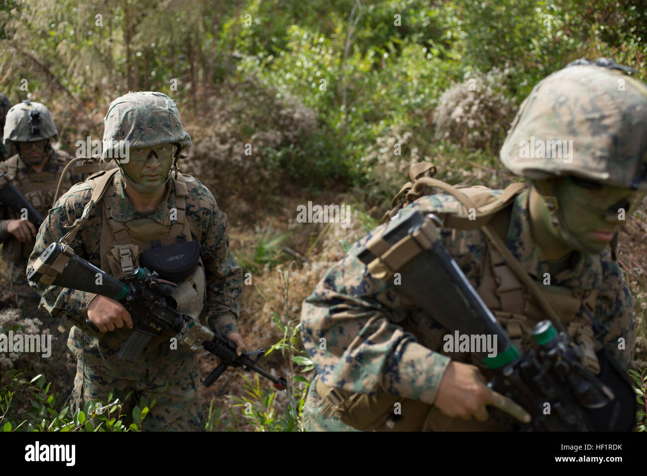 U.S. Marines from Delta Company, Infantry Training Battalion (ITB ...