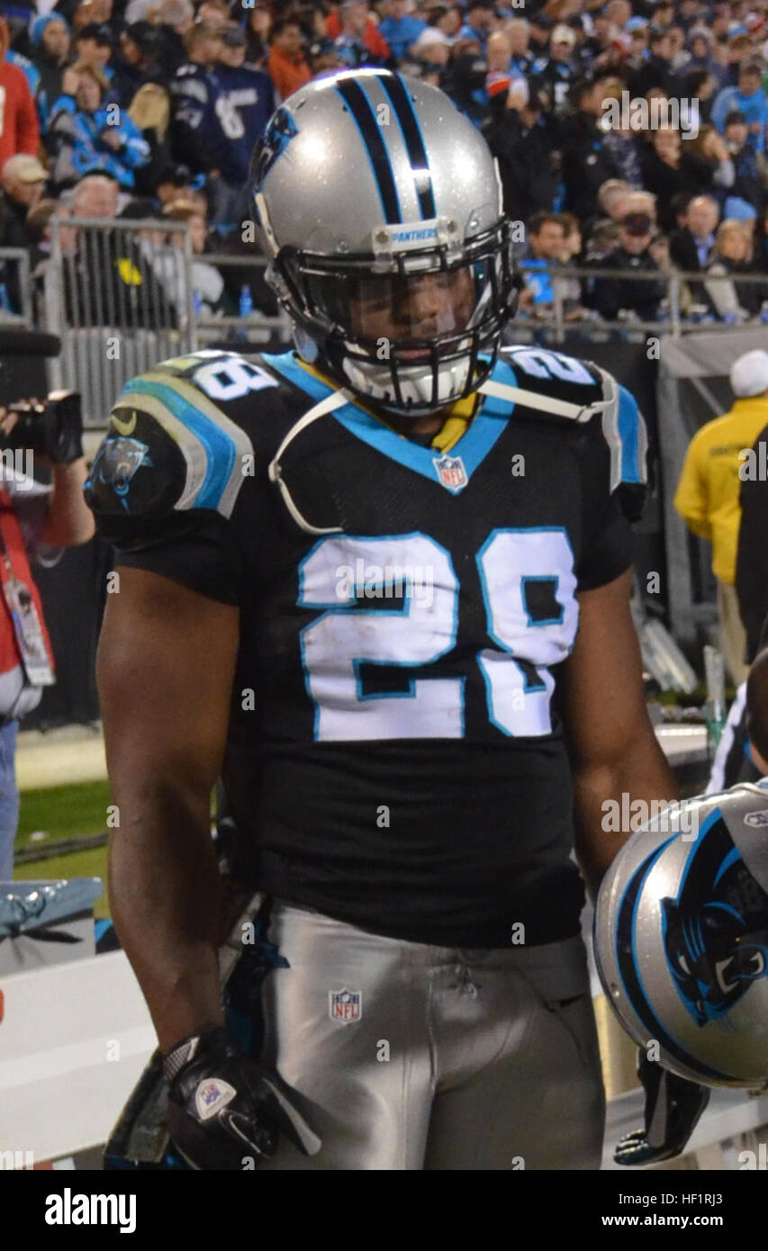 Jonathan Stewart 2013 Stock Photo - Alamy