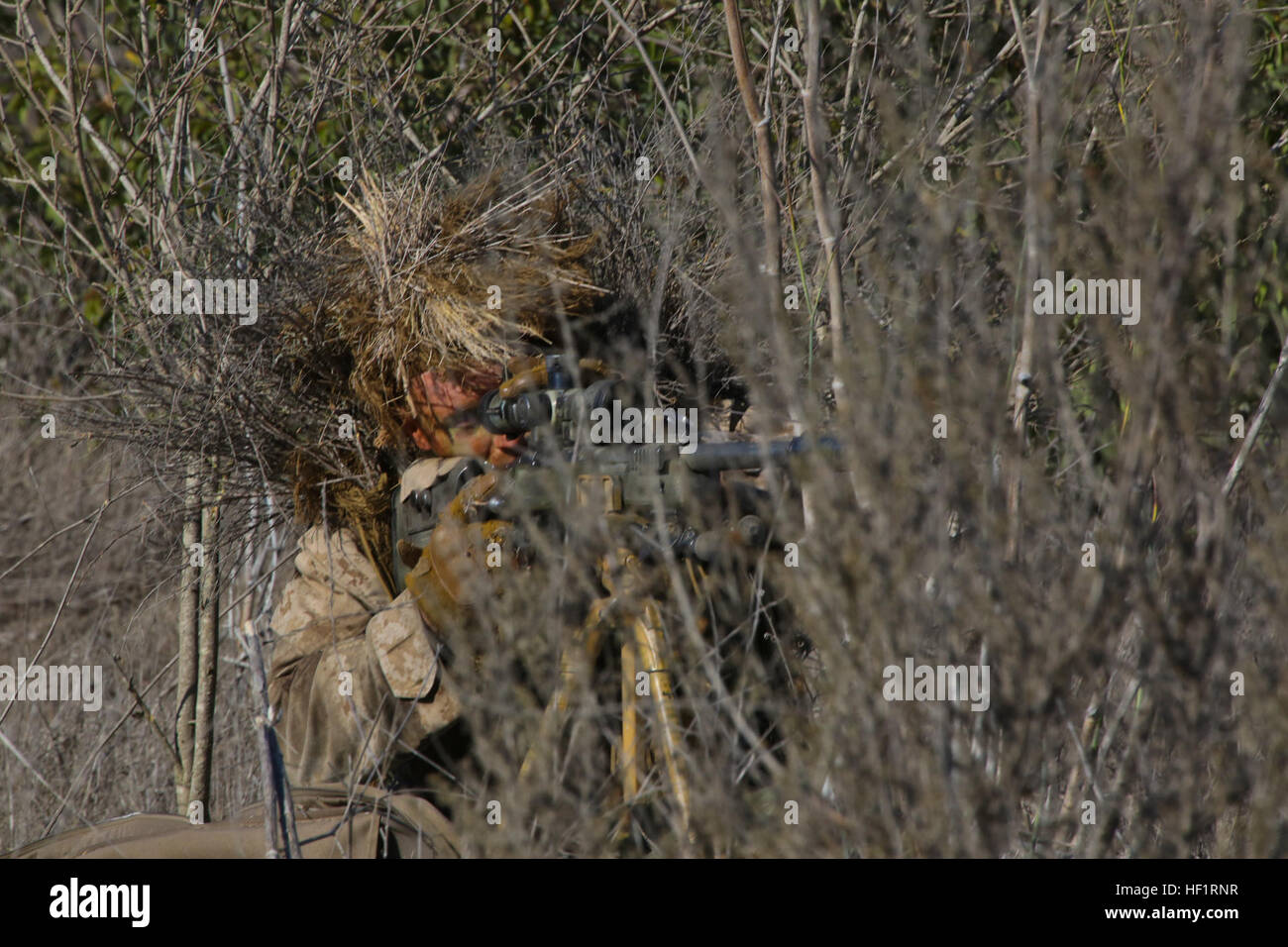 Marine camp pendleton california hi-res stock photography and images ...