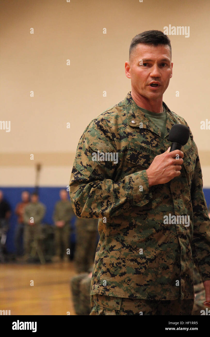 U.S. Marine Corps Lt. Col. David C. Wallis, Battalion Commander ...