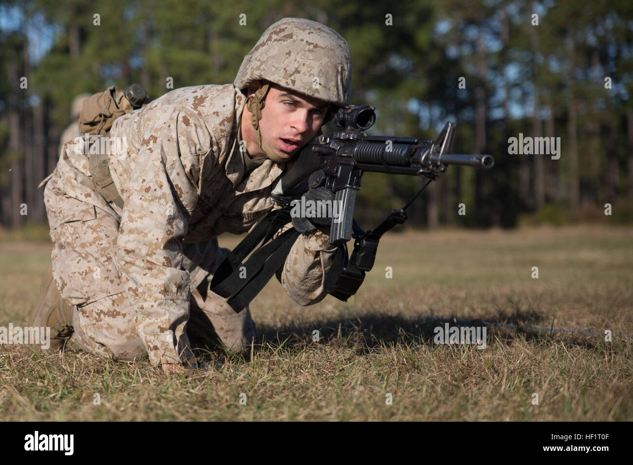 Mccaulley hi-res stock photography and images - Alamy