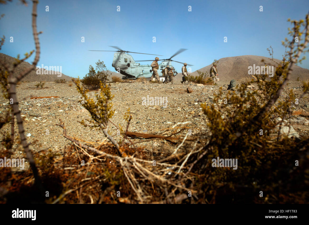 Lt. Gen. Steven A. Hummer, Commander, Marine Forces Reserve and Marine ...