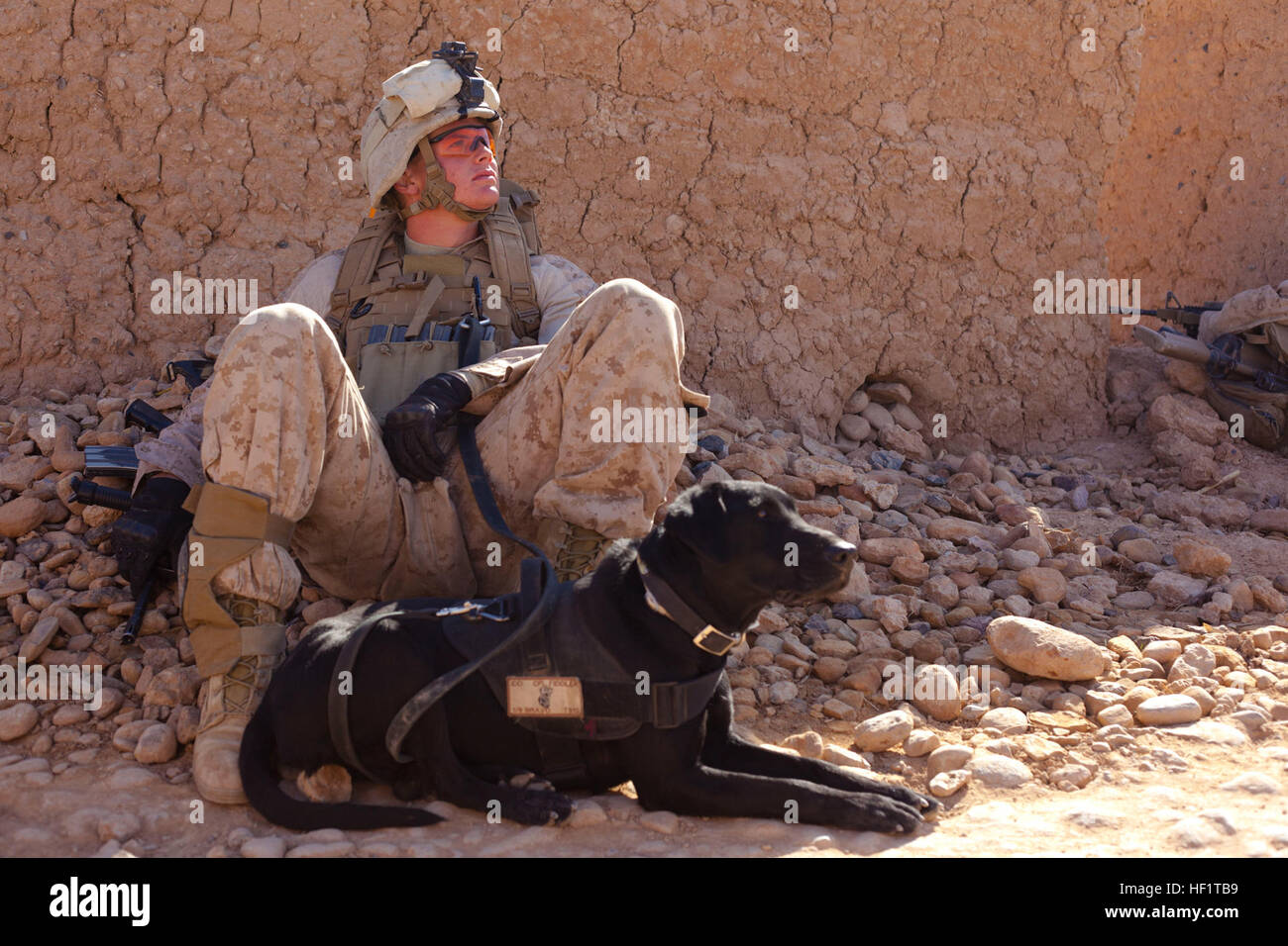 James salka hi-res stock photography and images - Alamy